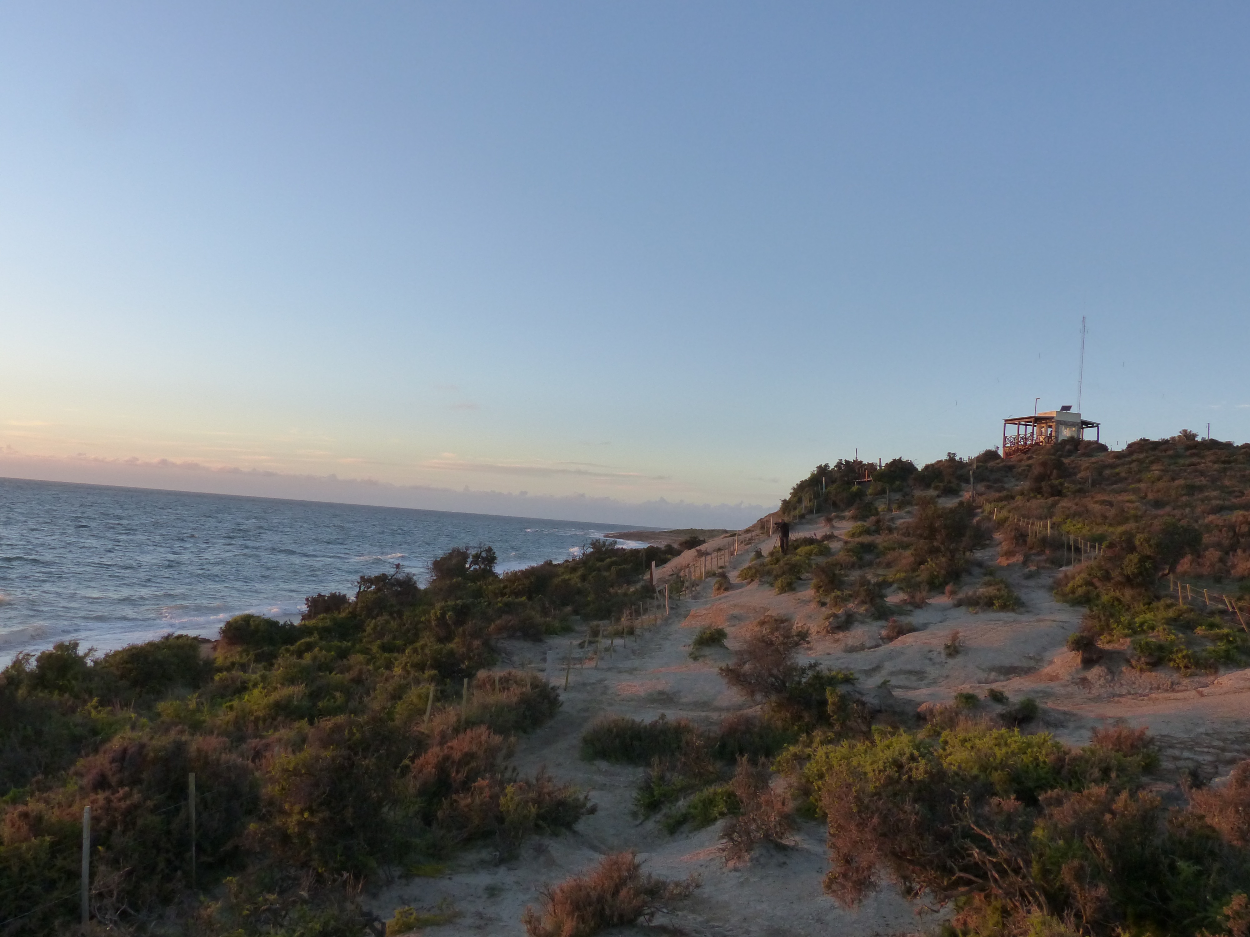 Peninsula Valdes and Puerto Madryn | Swoop Patagonia
