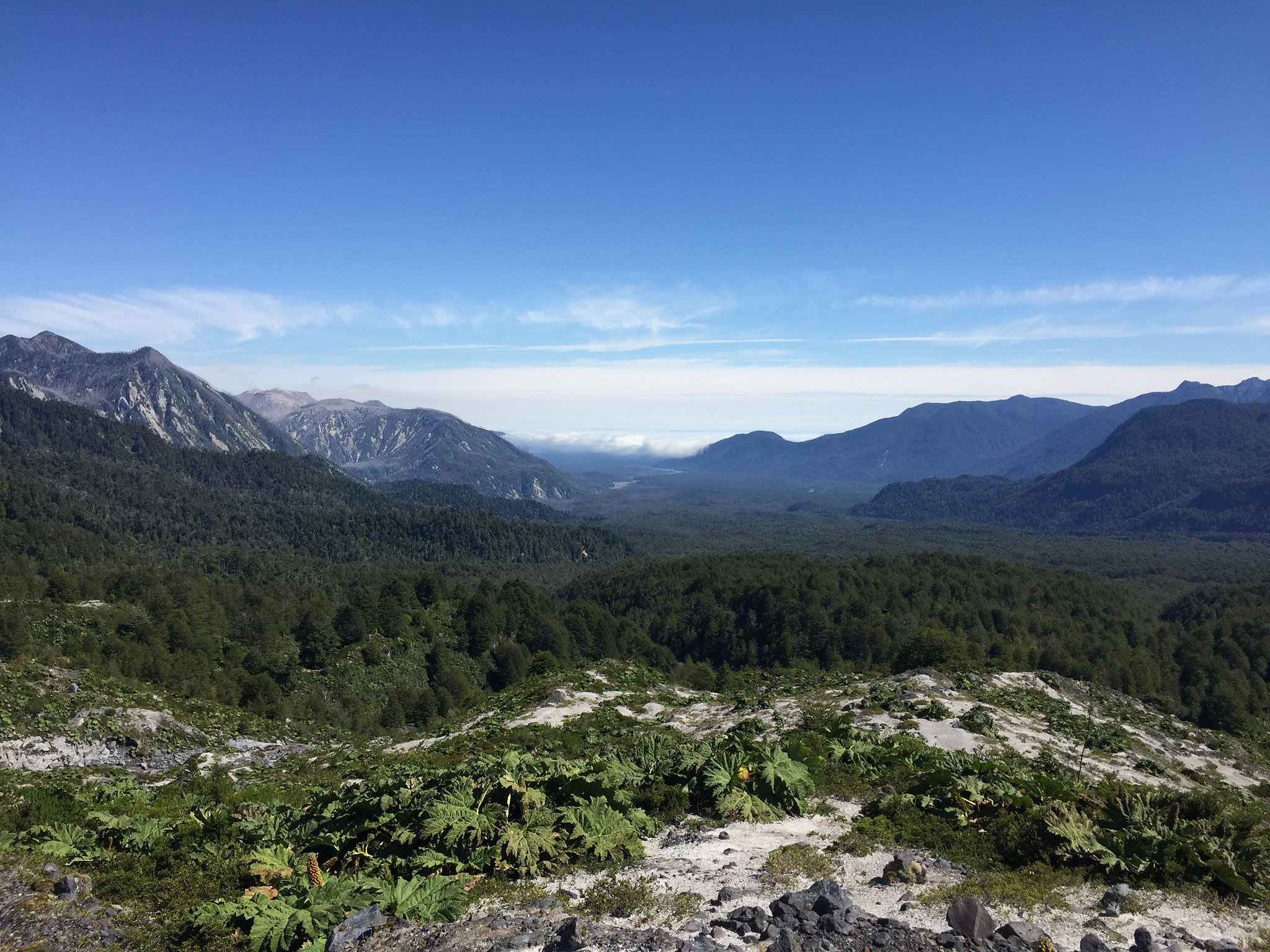 Discover Pumalín Douglas Tompkins National Park | Explore with Swoop ...