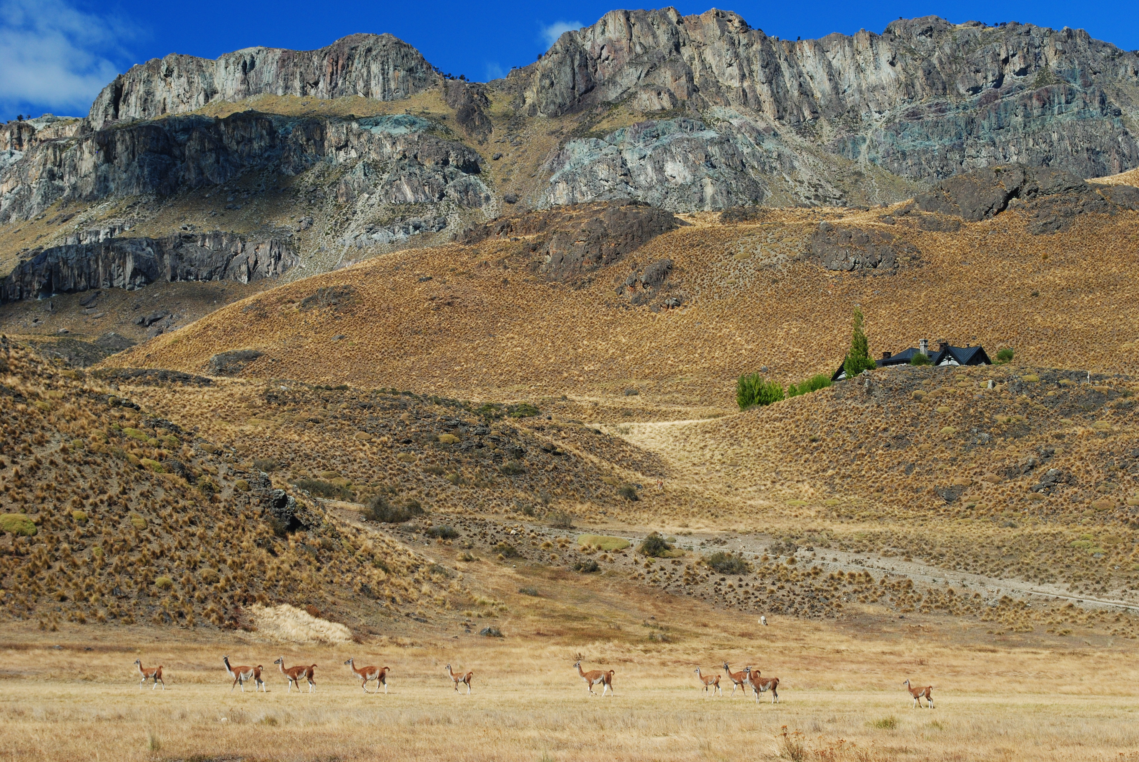 Aysen Region in Chile | Swoop Patagonia