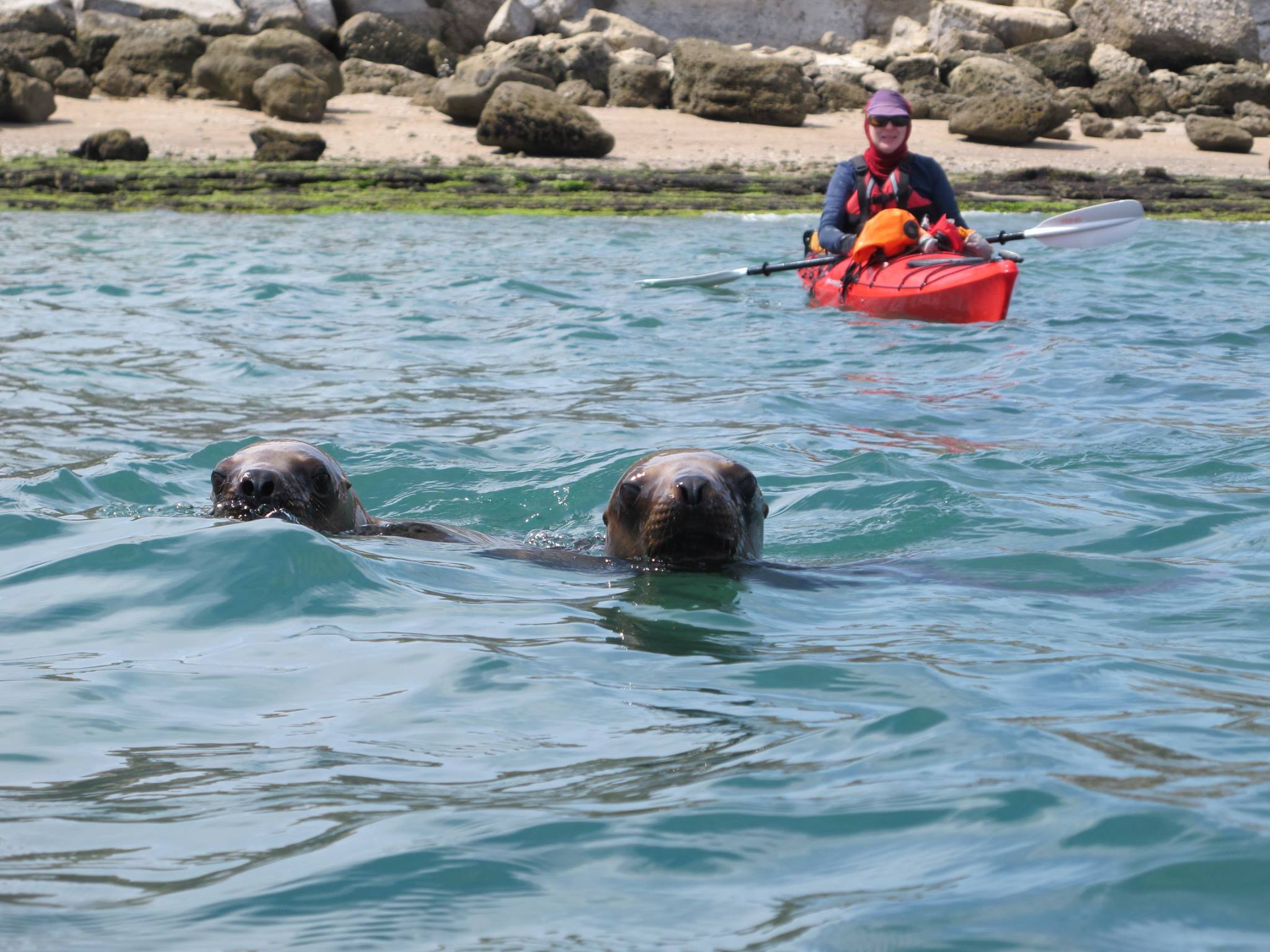 Kayaking in Patagonia | Explore the rivers & lakes with Swoop
