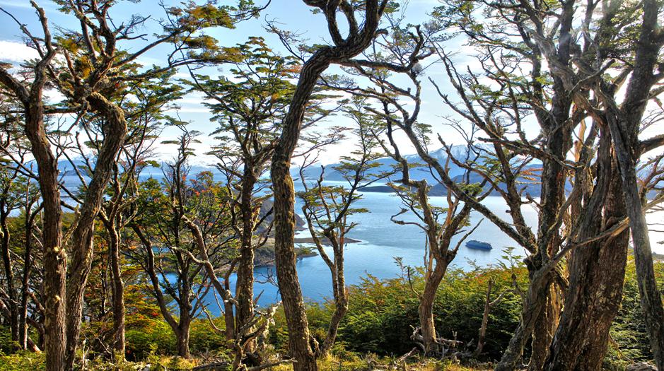 Wulaia Bay | Landmark Information | Swoop Patagonia